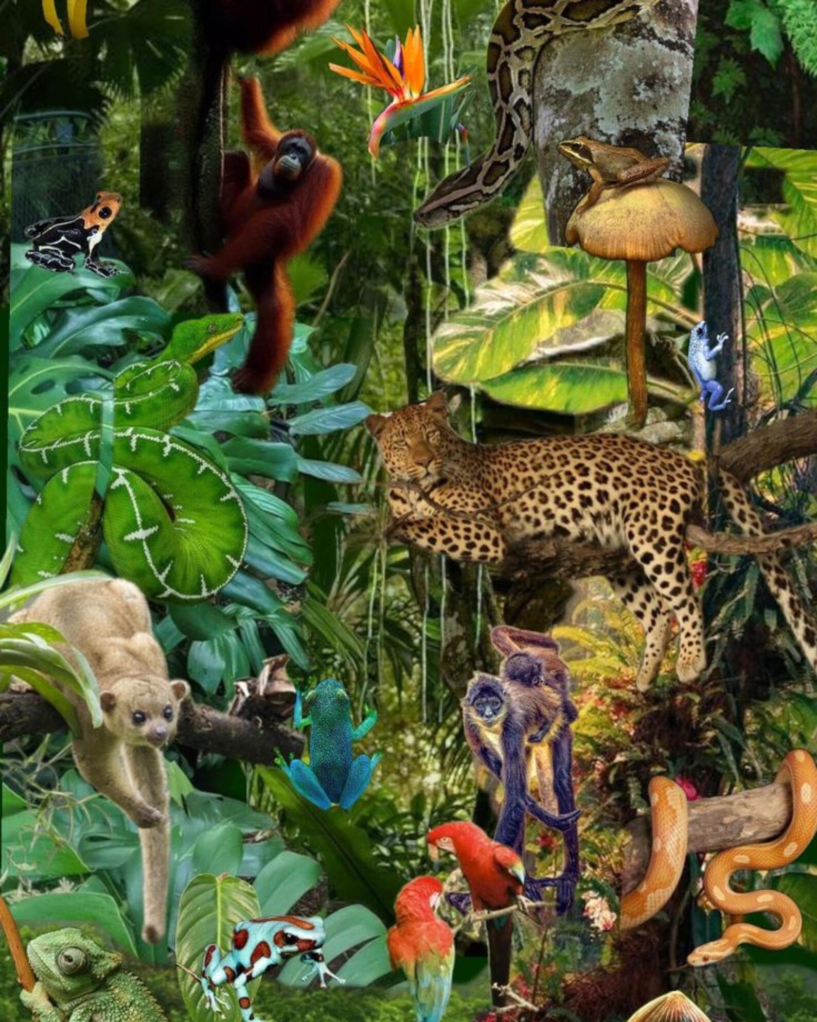 Jungle Animal Wall Art, Tropical Wildlife Scene, Lush Nature Print for ...