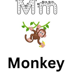 Alphabet Tracing Worksheet K-O: Learn Animals (digital Download) - Etsy