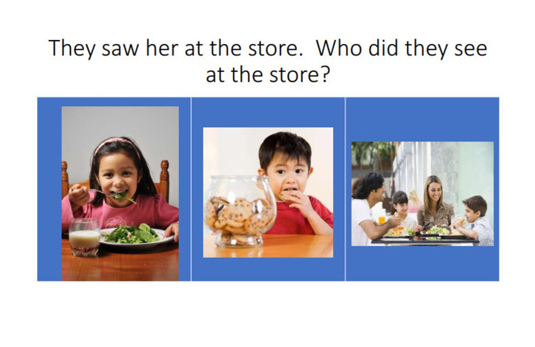 Pronouns Packet *receptive & Expressive* - Speech Therapy Materials ...