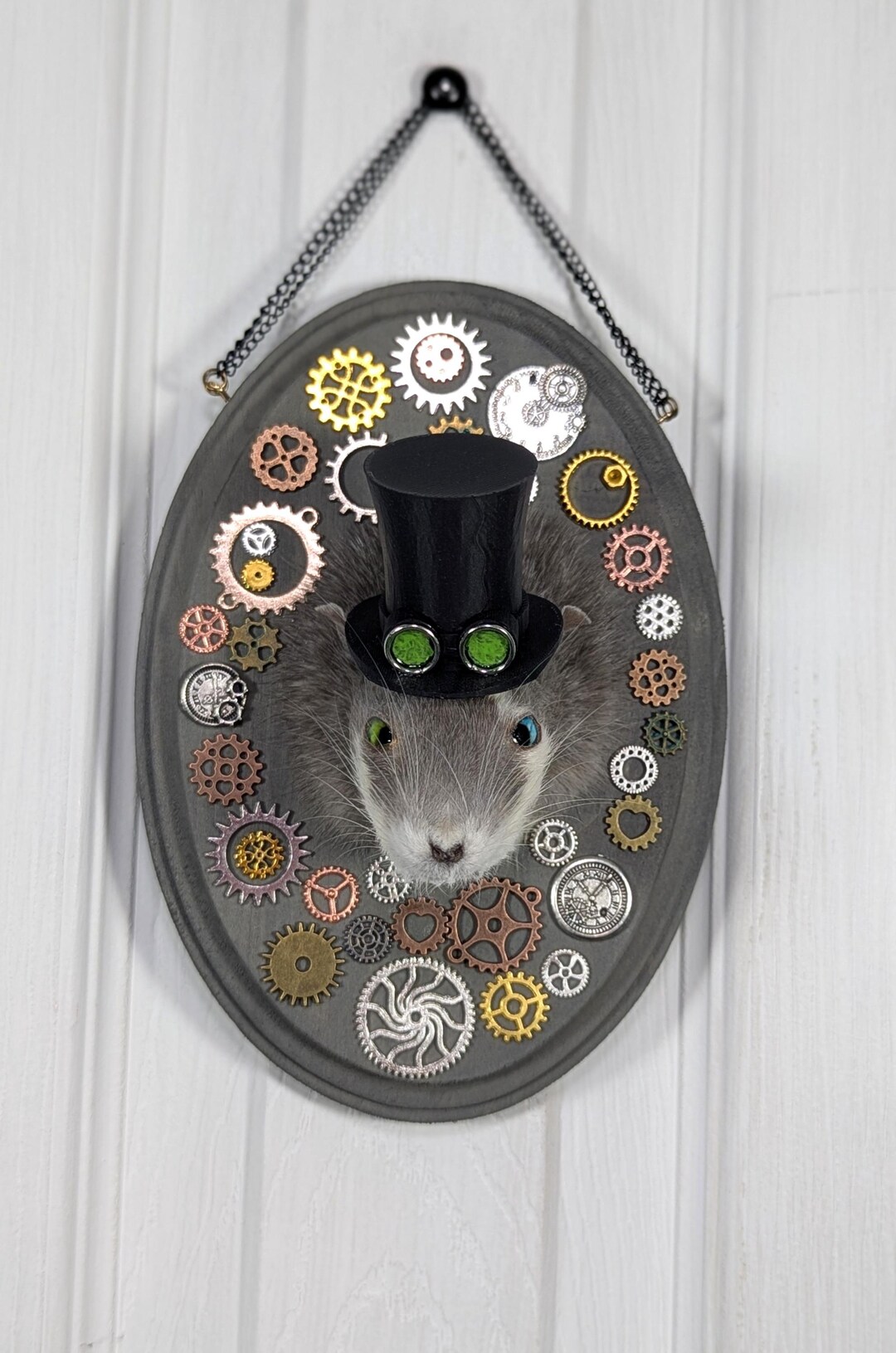 Odd Eyed Steampunk Rat Taxidermy Head Mount - Etsy