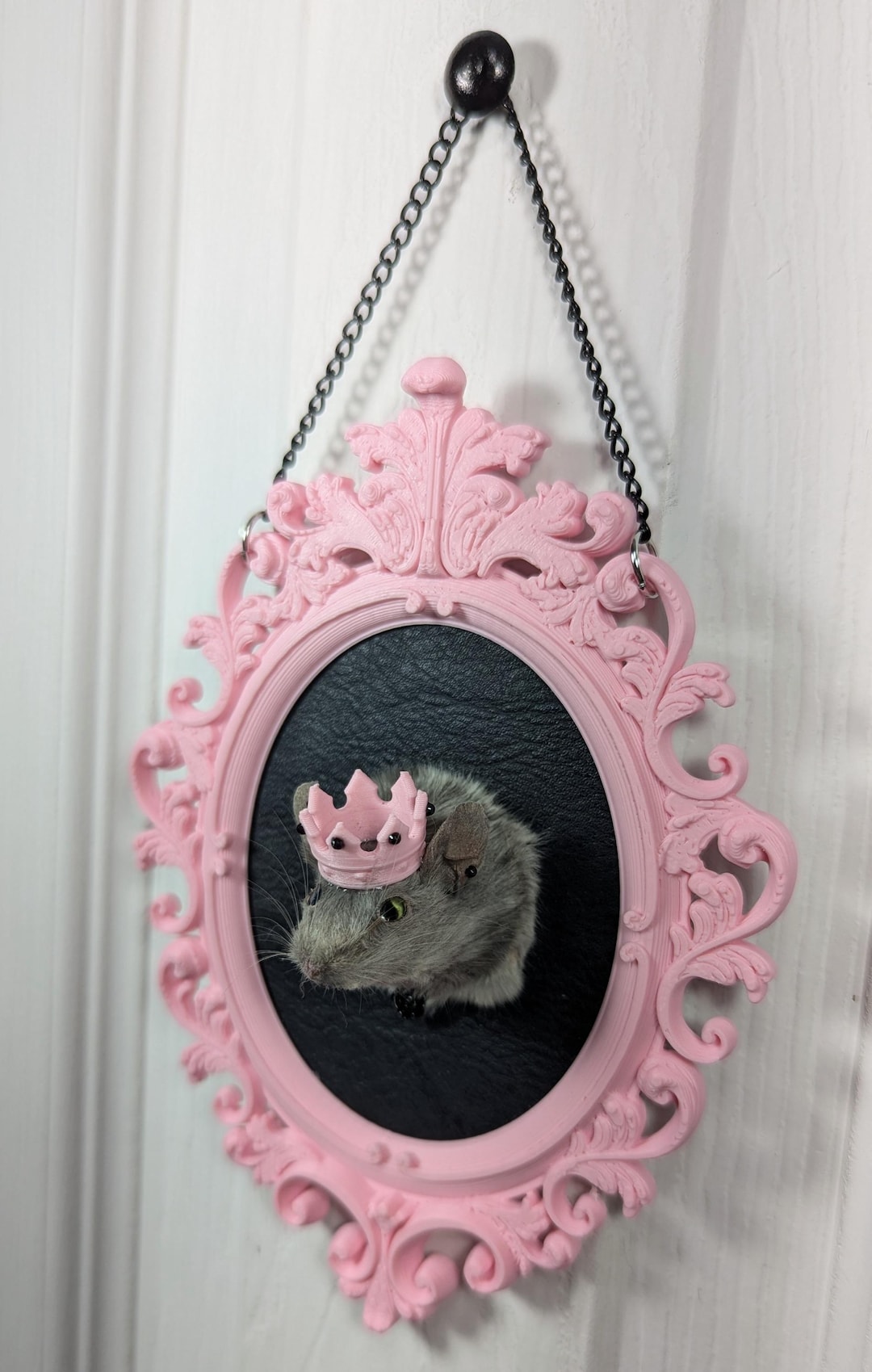 Black and Pink Princess Real Mouse Taxidermy Head Mount - Etsy