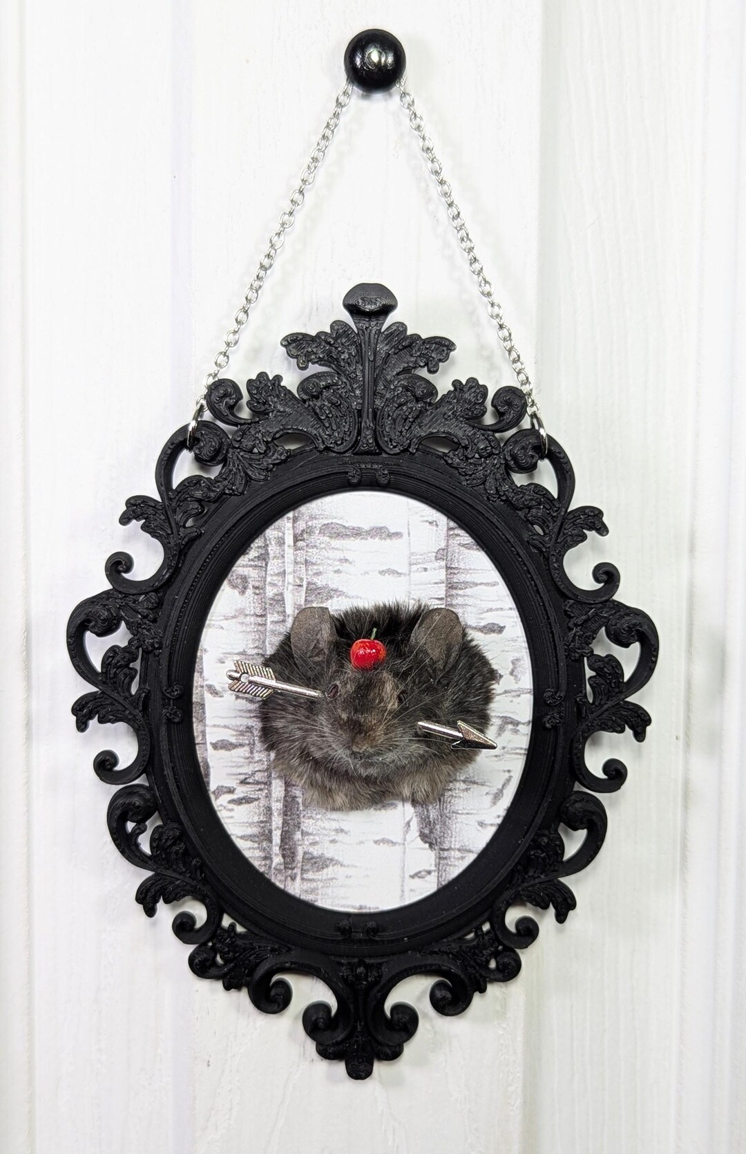 Arrow Through Head Mouse Taxidermy Head Mount - Etsy