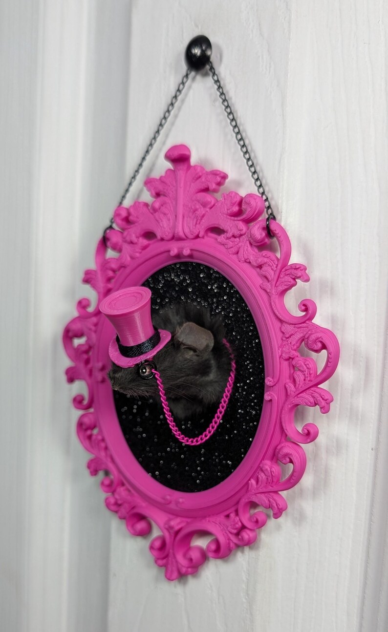 Dapper Monocle Mouse Taxidermy Head Mount -hot Pink /black Glitter - Etsy