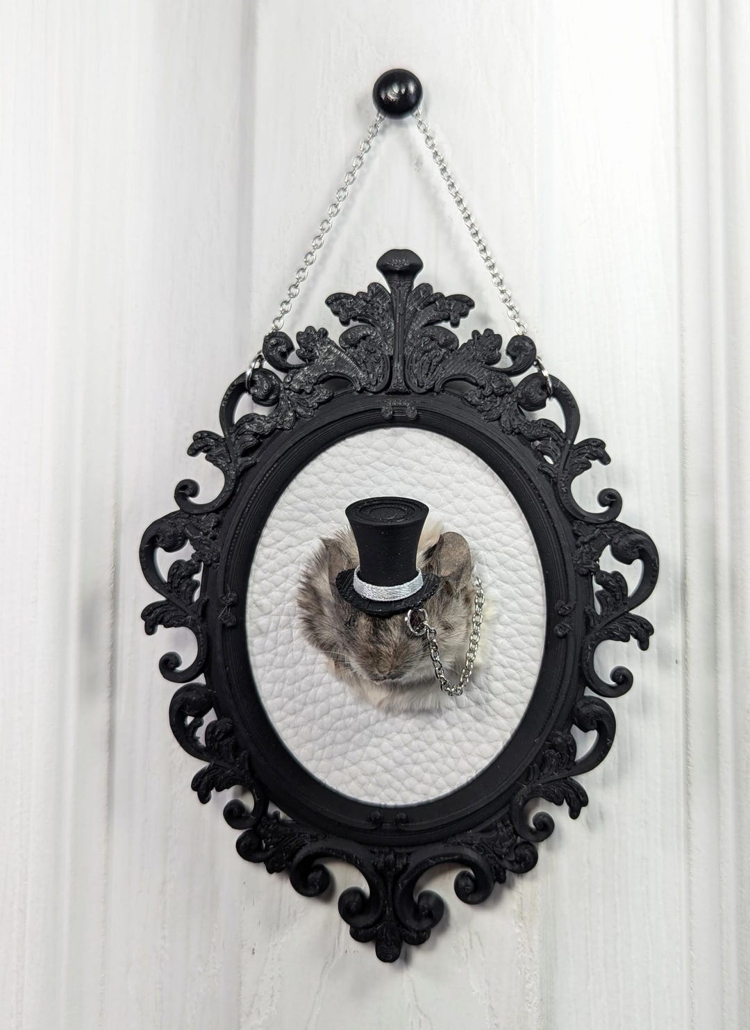 Black and White Themed Dapper Monocle Mouse Taxidermy Head Mount - Etsy