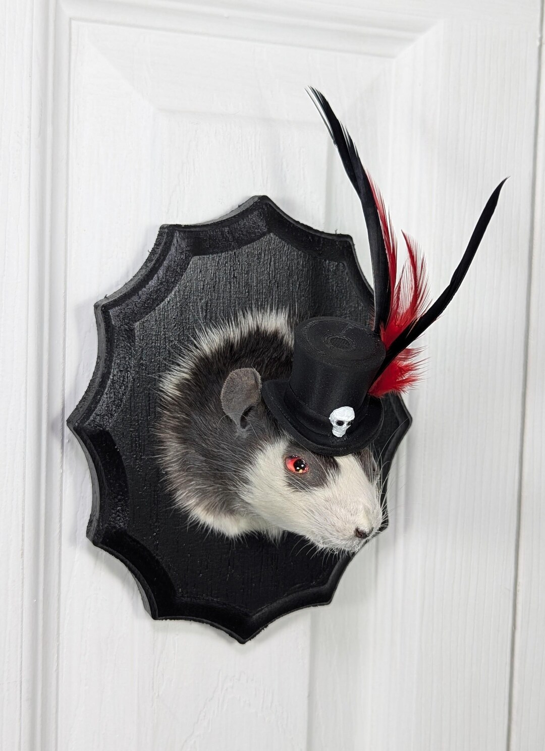 Voodoo Rat Taxidermy Head Mount - Etsy
