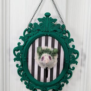 Beetlejuice Inspired Mouse Portrait Taxidermy Head Mount - Etsy