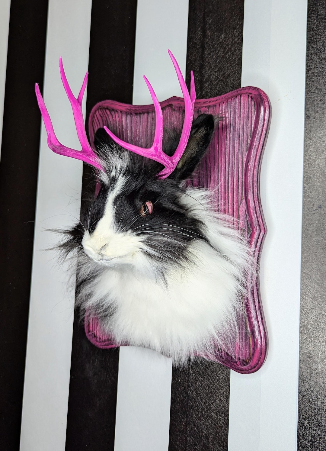 Hot Pink Jackalope Taxidermy Head Mount - Etsy