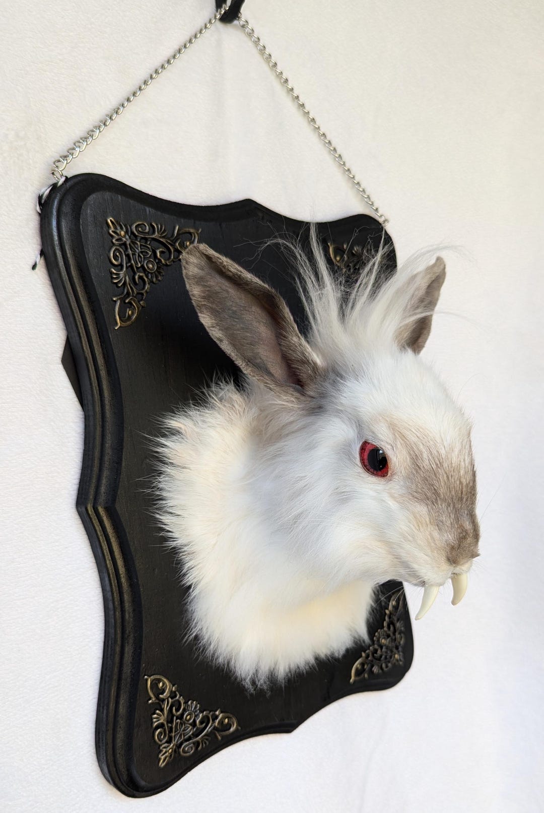 Unique Vampire Rabbit Taxidermy Mount - Etsy