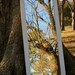 Full Length Framed Mirror. Distressed White Framed Mirror. White Mirror ...