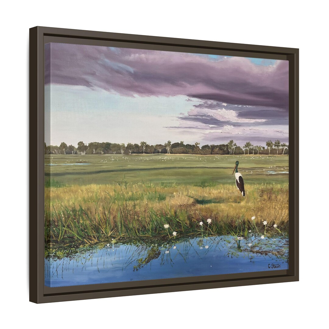 Jabiru Bird Canvas Print: Australian Water Lilies Landscape, Framed ...