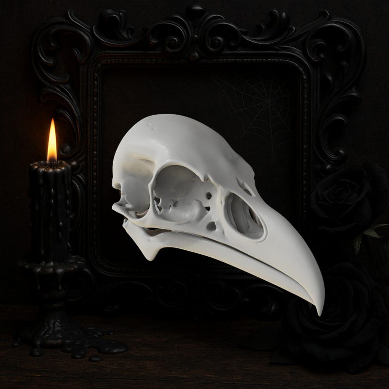 Gothic Bird Skull 3D Printable STL Ornate Decorative Skull Model, Altar ...