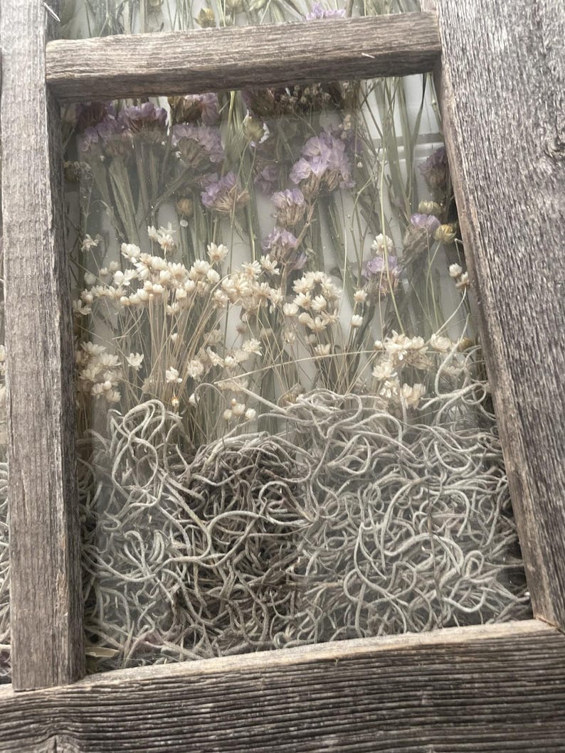 Rustic Botanical Barn Wood Window Pane Wall Decor - Etsy