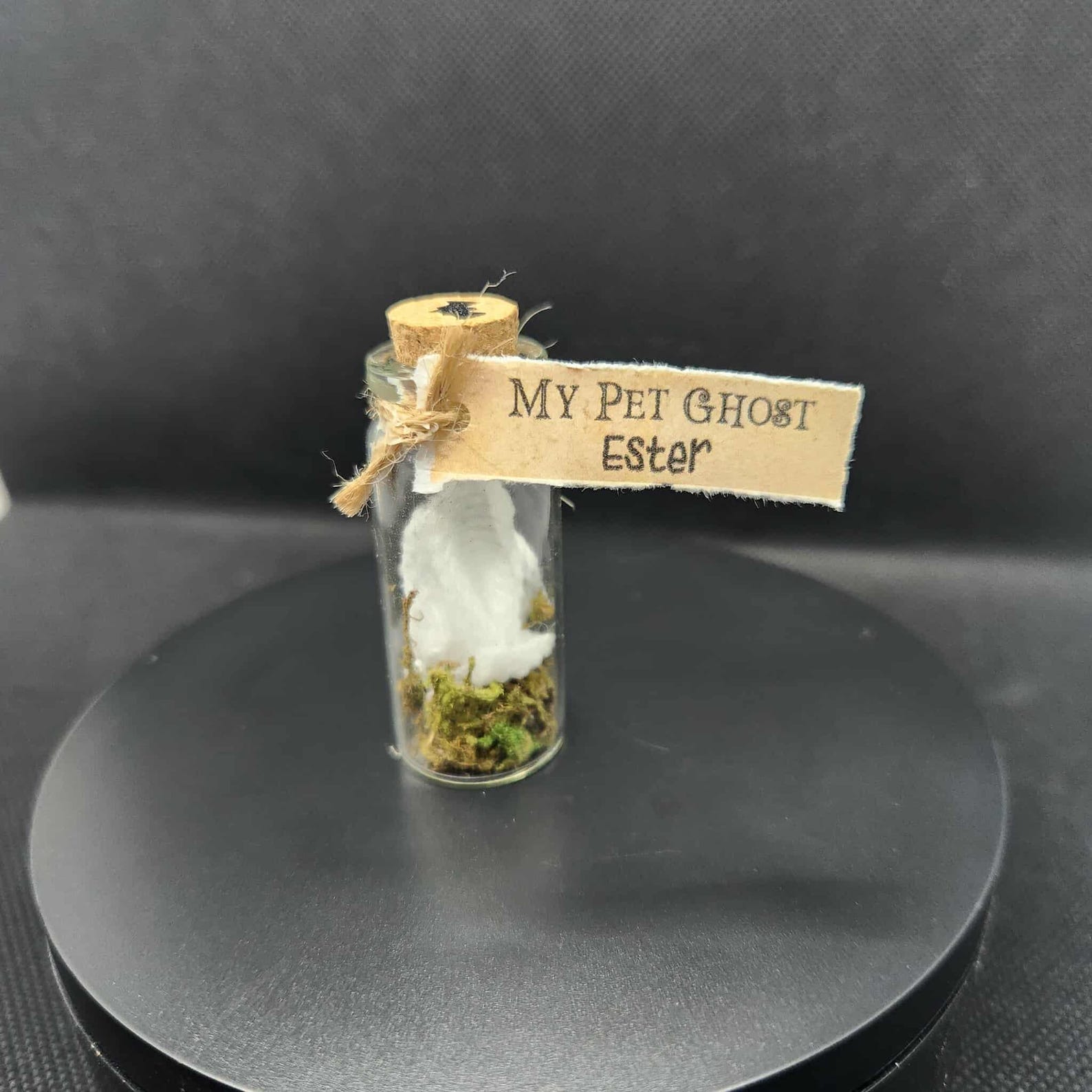 My Pet Ghost in a Jar Halloween Decoration - Etsy