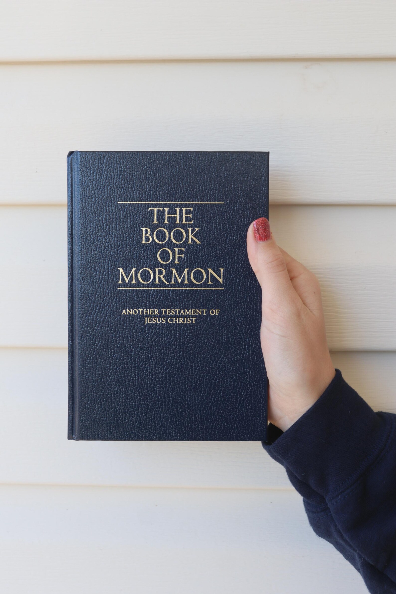 Customize Your Painted Book of Mormon Cover!! - Etsy