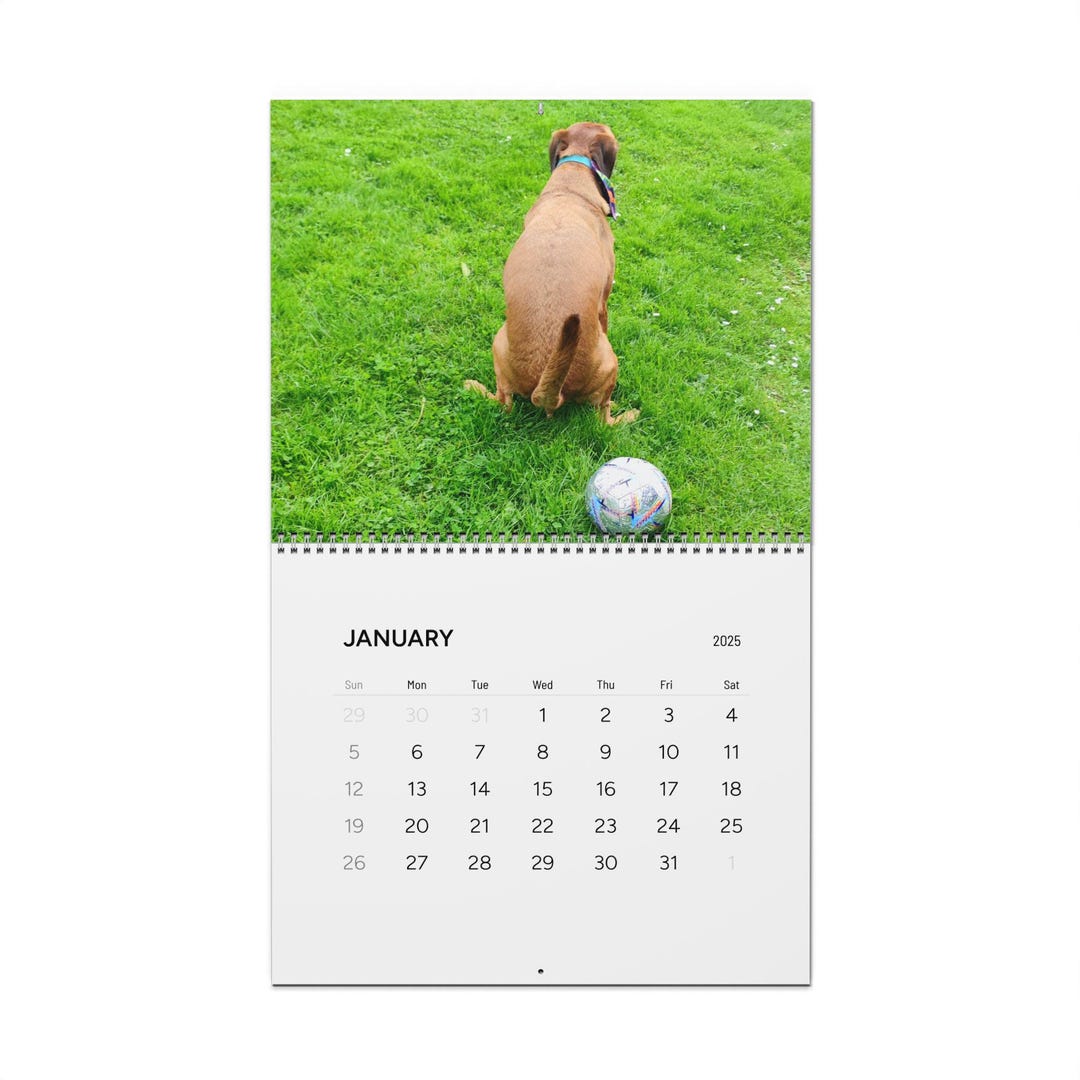 Dog Poo Calendar - Etsy