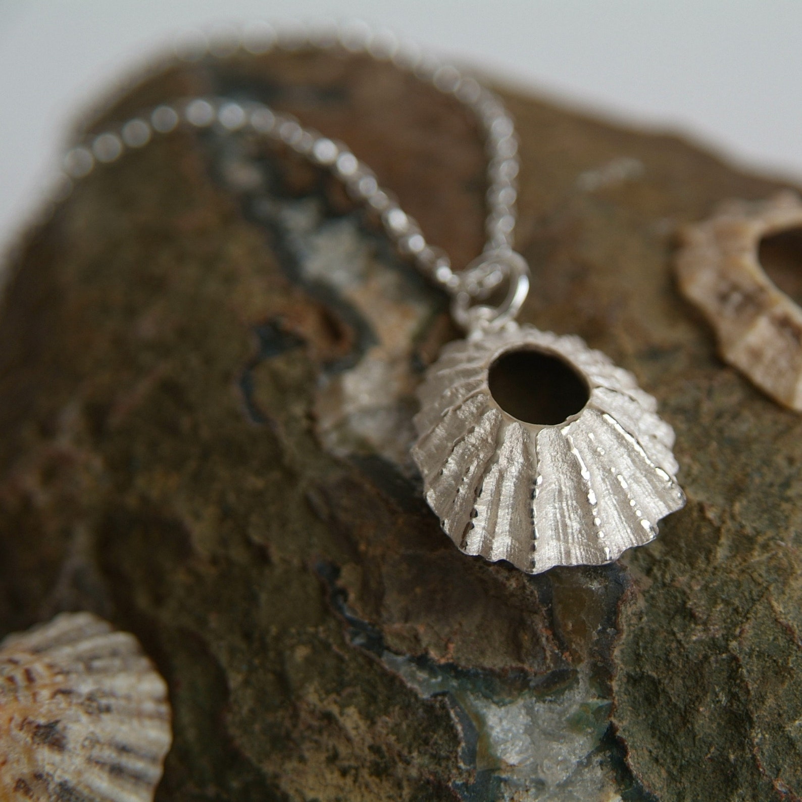 Silver Shell Necklace Sterling Silver Limpet Pendant - Etsy UK