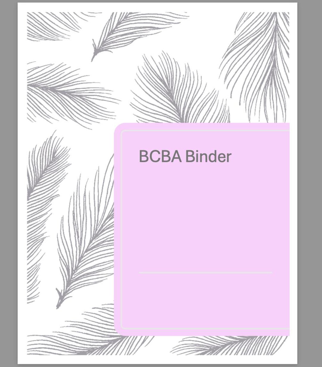 Editable BCBA Binder | Caseload & Supervision Tracker (digital) - Etsy