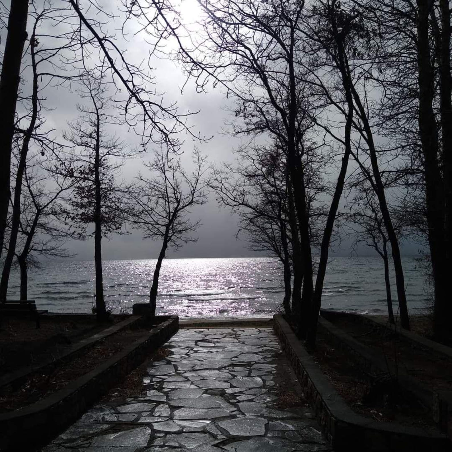 Pathway to Lake Tahoe Digital Photograph - Etsy