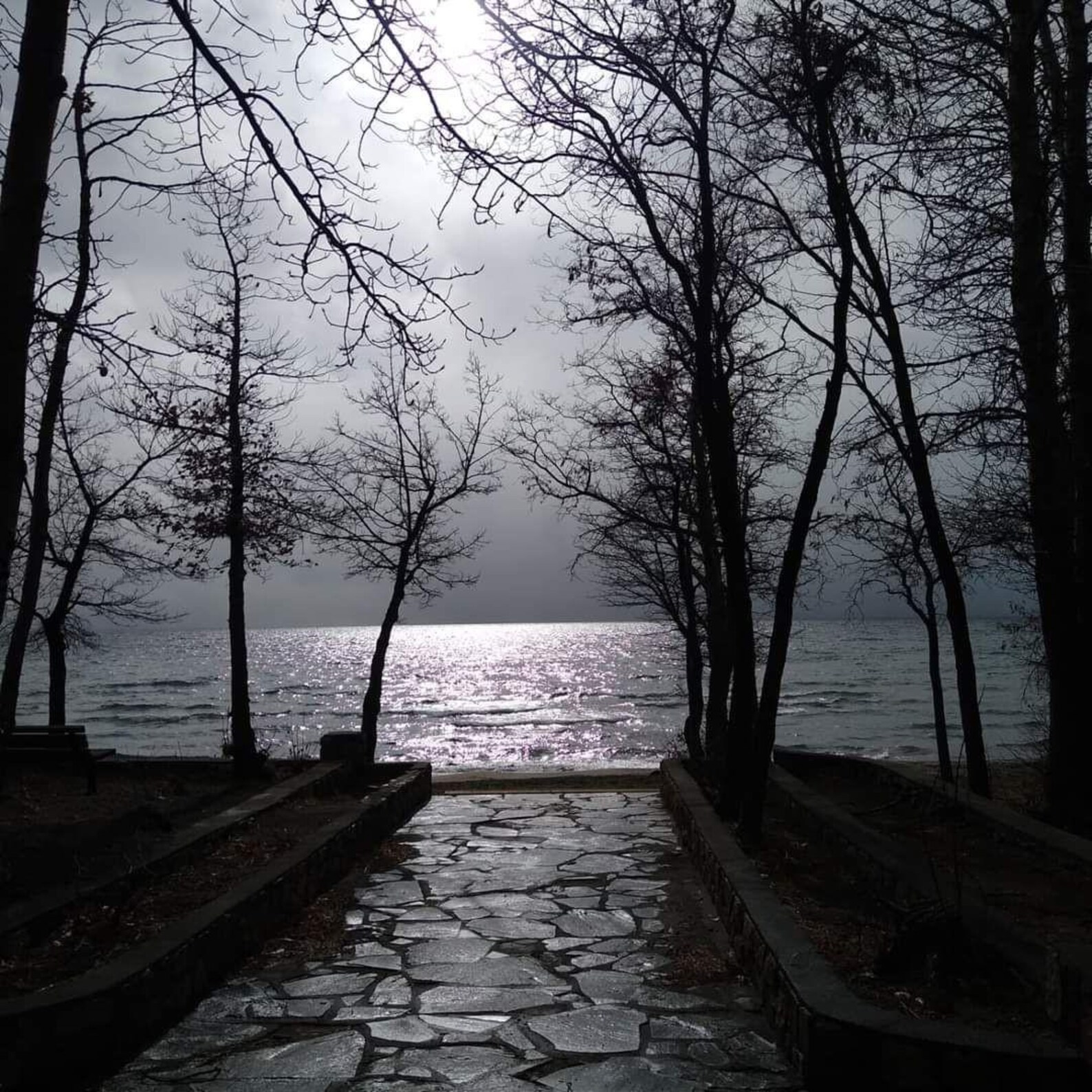 Pathway to Lake Tahoe Unframed Picture - Etsy