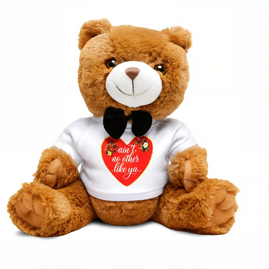 Ain’t No Other Like Ya Teddy Bear, Southern Sayings Gift, Funny ...
