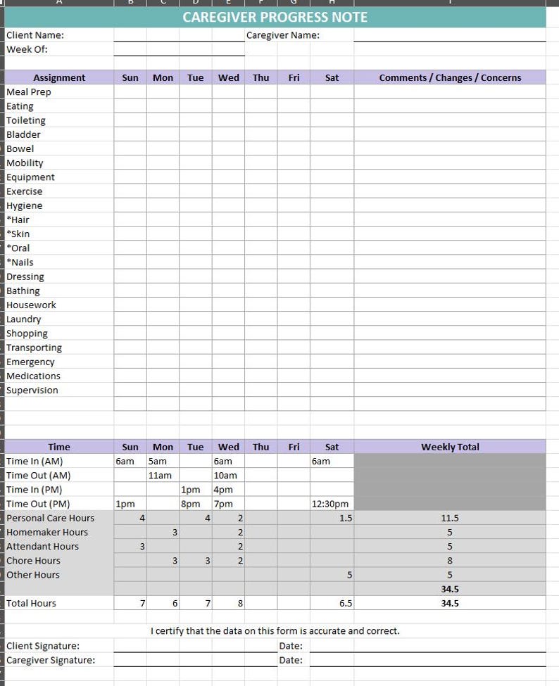Caregiver Progress Note | Printable Excel Template, Weekly Care Log - Etsy