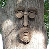 Moustached Tree Face Garden Decoration: Unique Outdoor Sculpture - Etsy
