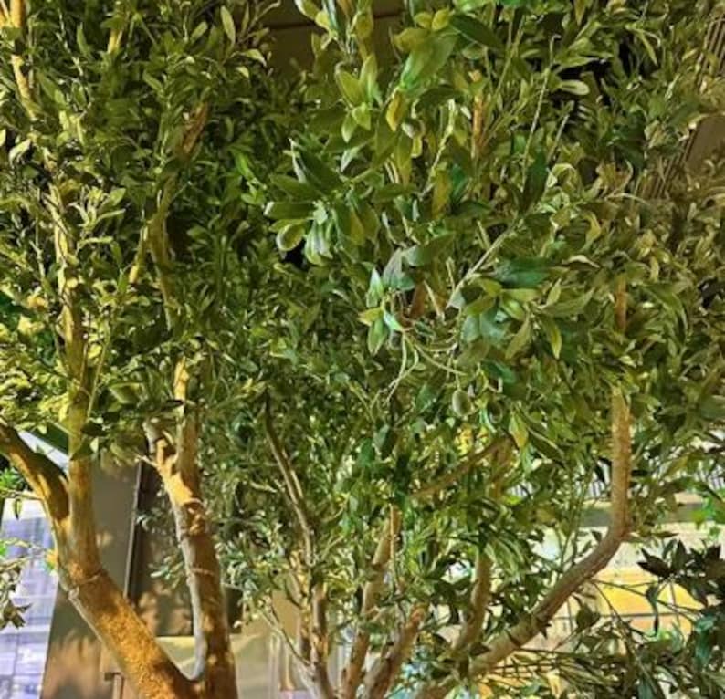 Outdoor Artificial Olive Tree DIY - Etsy