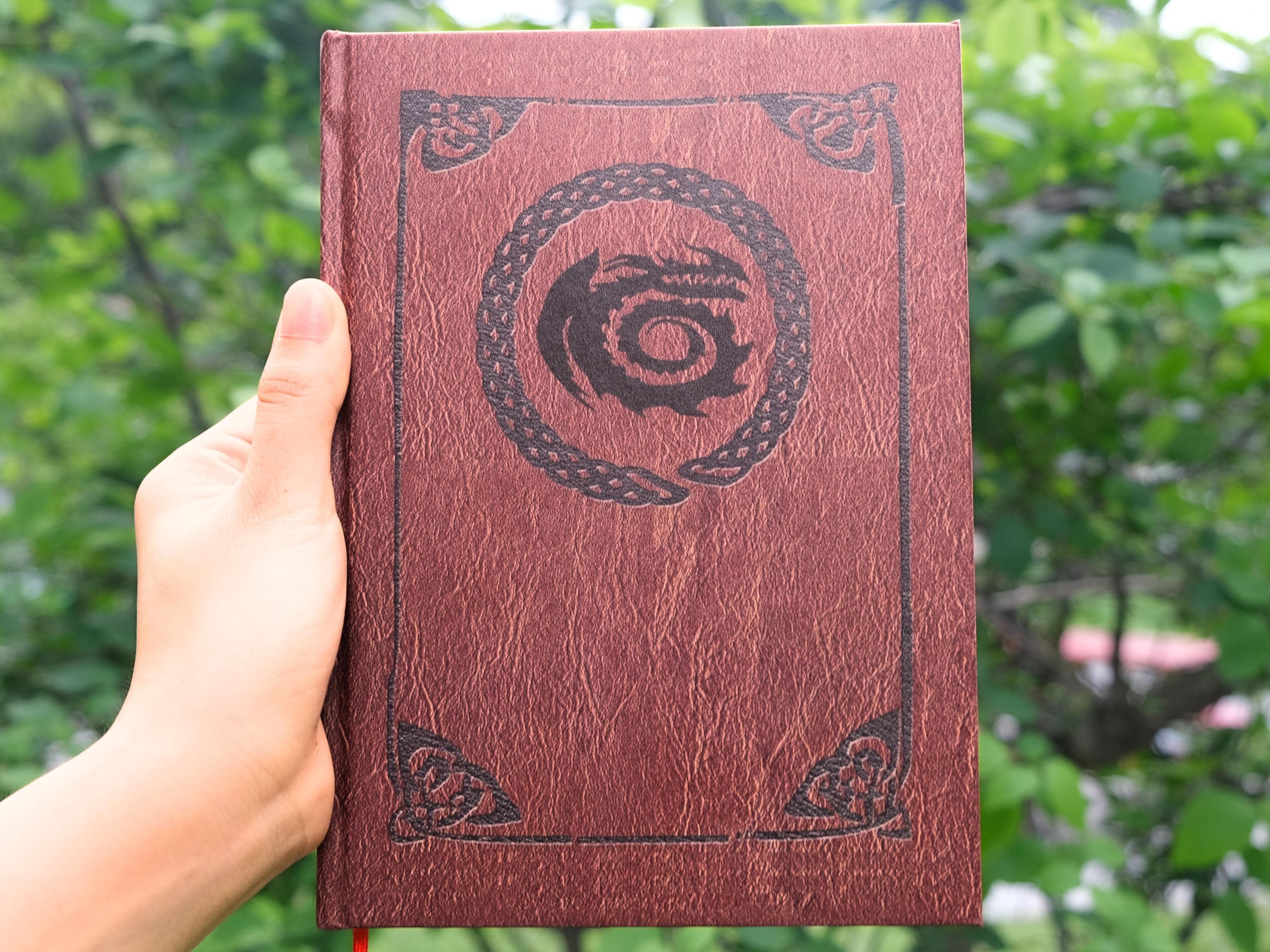 HTTYD Dragon Book How to Train Your Dragon Book Dragon Training Book ...