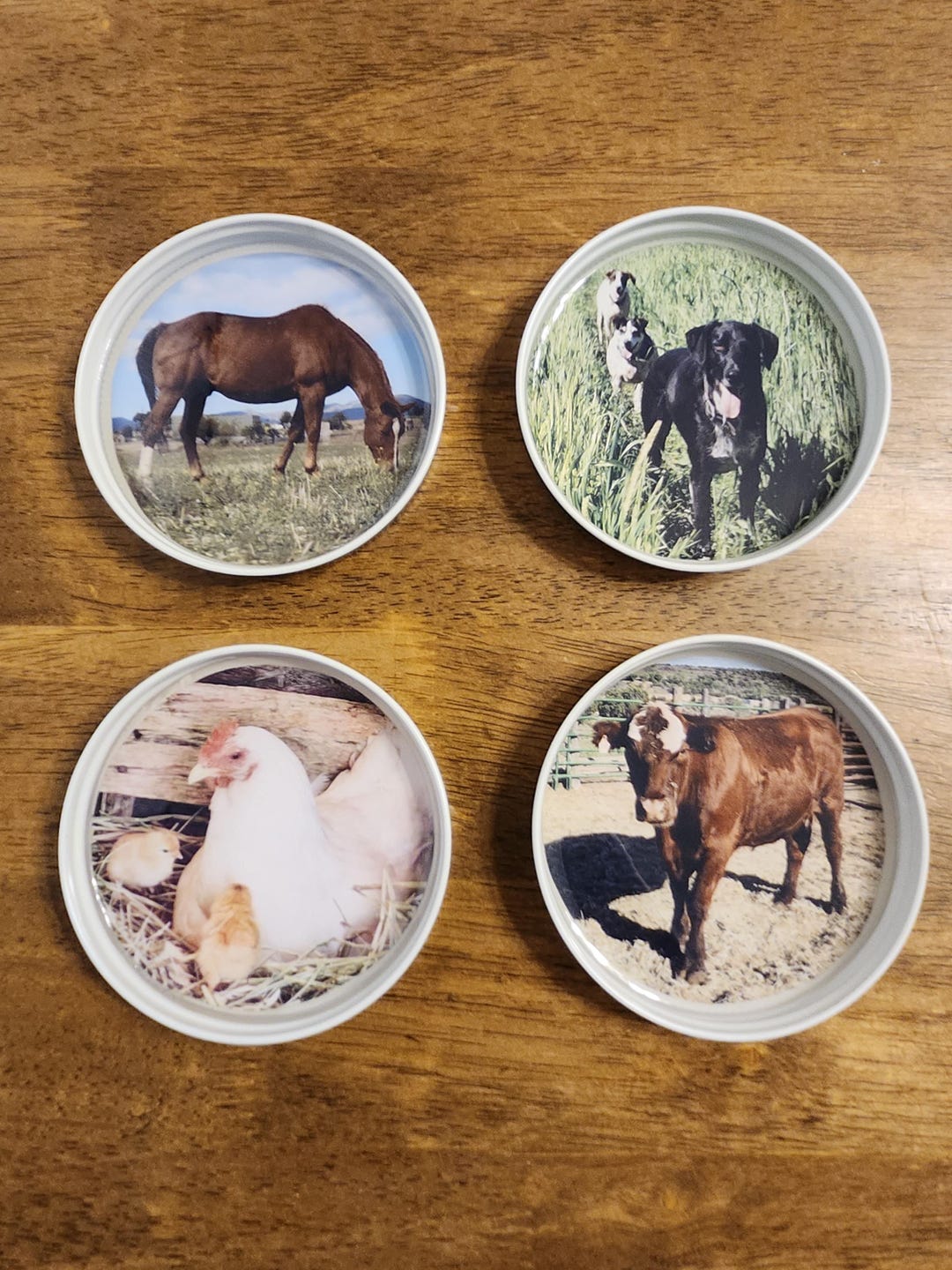 Farm Animal Coaster Set: Rustic Mason Jar Lid Resin Drink Mats - Etsy