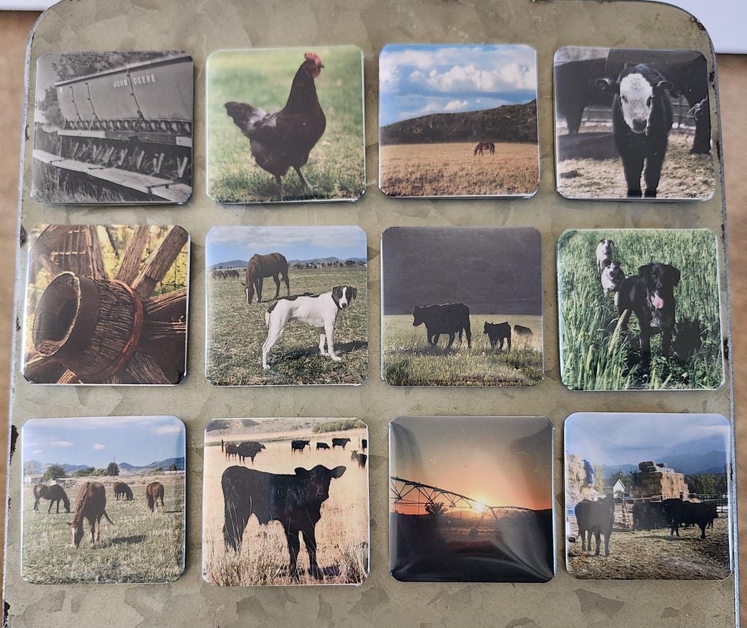 Farm Animal Photo Magnets - Rustic Kitchen Decor, Set of 12 - Etsy