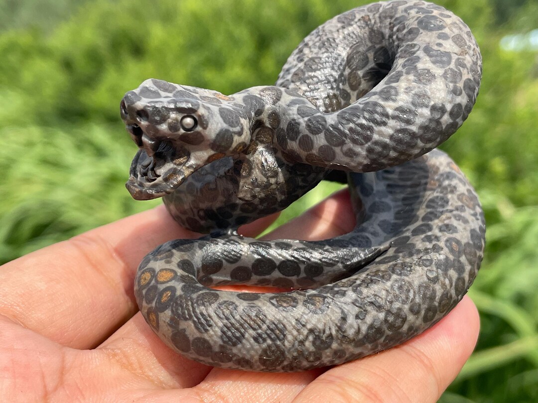 Natural Money Stone Snake Skull: Hand Carved Crystal Rattlesnake, 2.8 ...