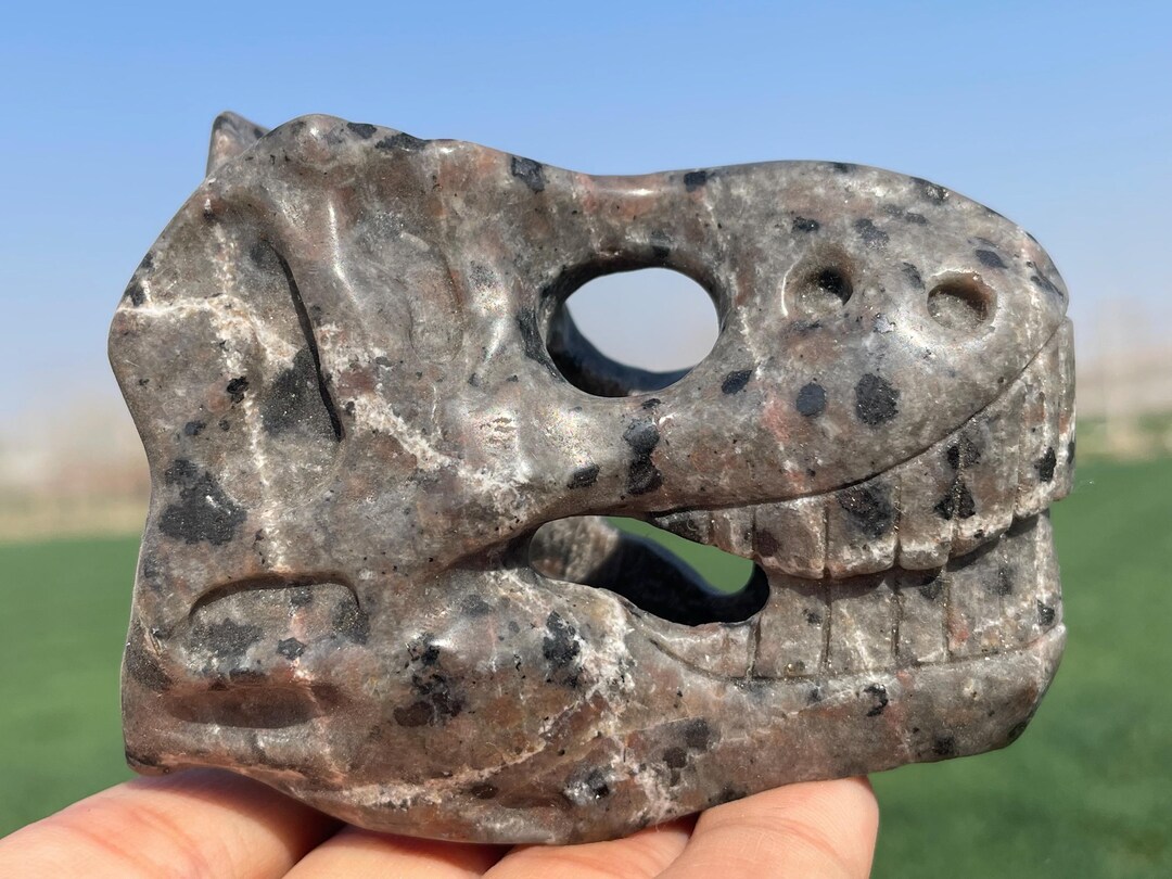 Hand Carved Yooperlite Dinosaur Skull: Crystal Healing Gift (3.1") - Etsy