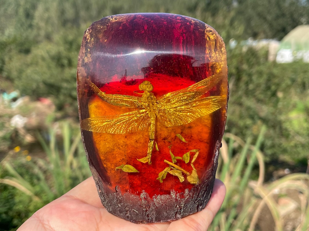 Resin Dragonfly Skull Specimen: Hand Carved Home Decor (3.9'') - Etsy