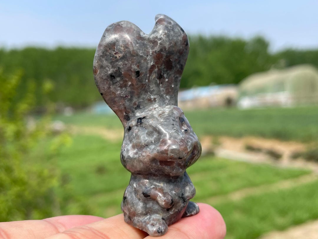 Yooperlite Rabbit Skull: Natural Crystal Carving, Home Decor - Etsy