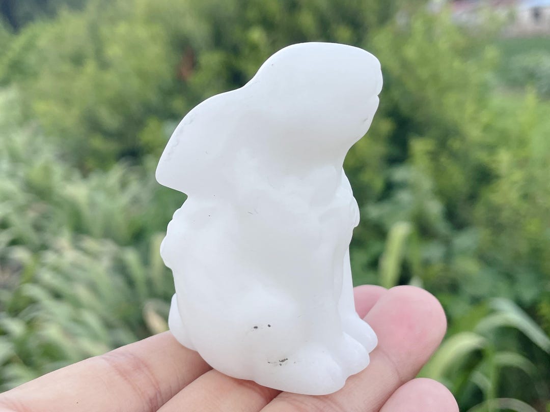 White Jade Rabbit Skull: Crystal Healing Home Decor (2.9") - Etsy