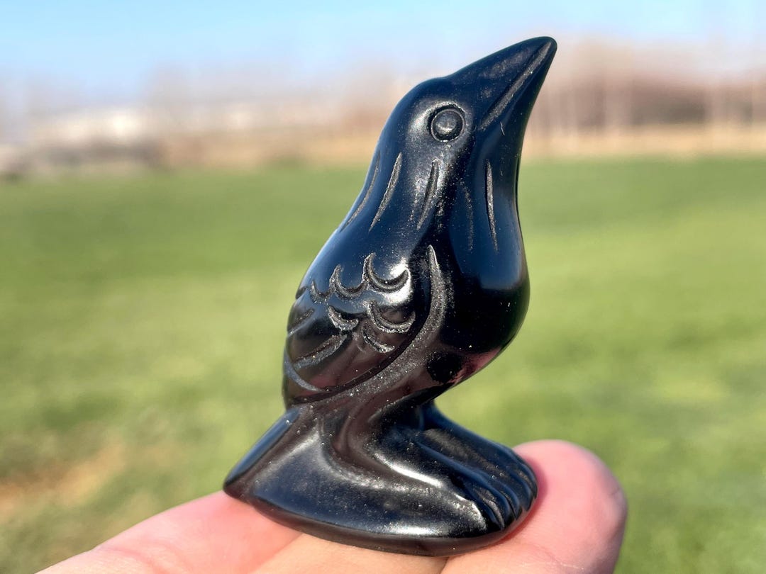 Handmade Obsidian Bird Skull: Crystal Healing Decor (1.8") - Etsy