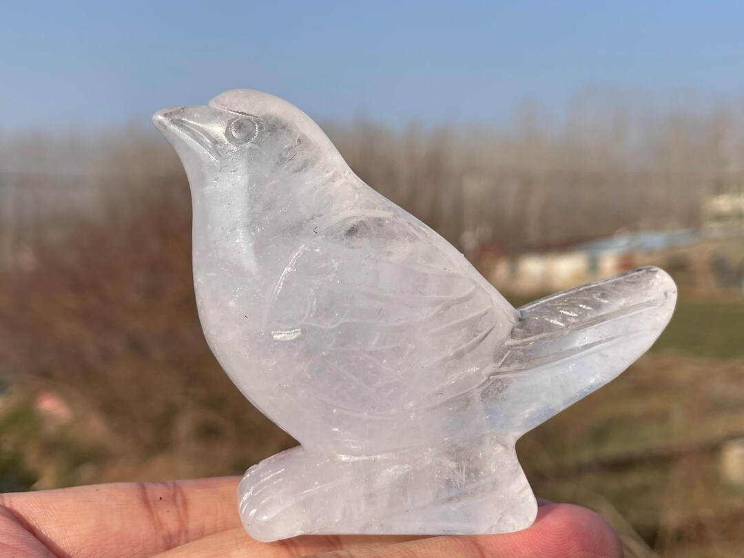 White Quartz Bird Skull: Handmade Crystal Carving, Home Decor (4.3") - Etsy