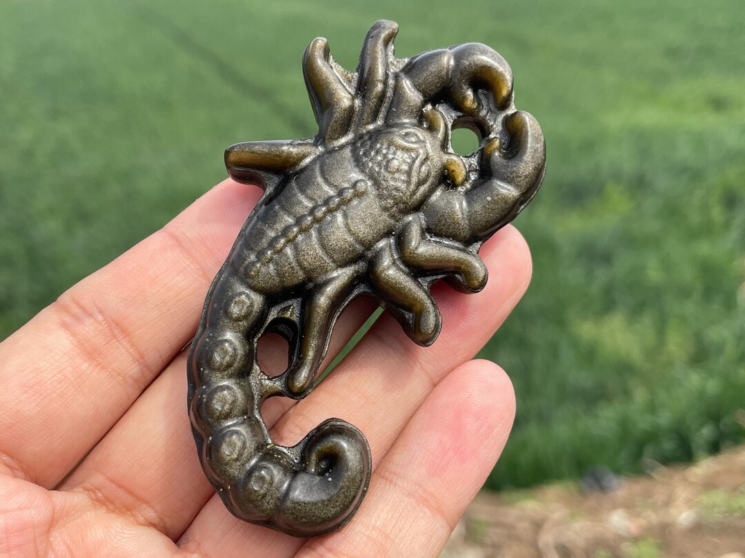 Hand Carved Gold Obsidian Scorpion Skull: Crystal Home Decor - Etsy