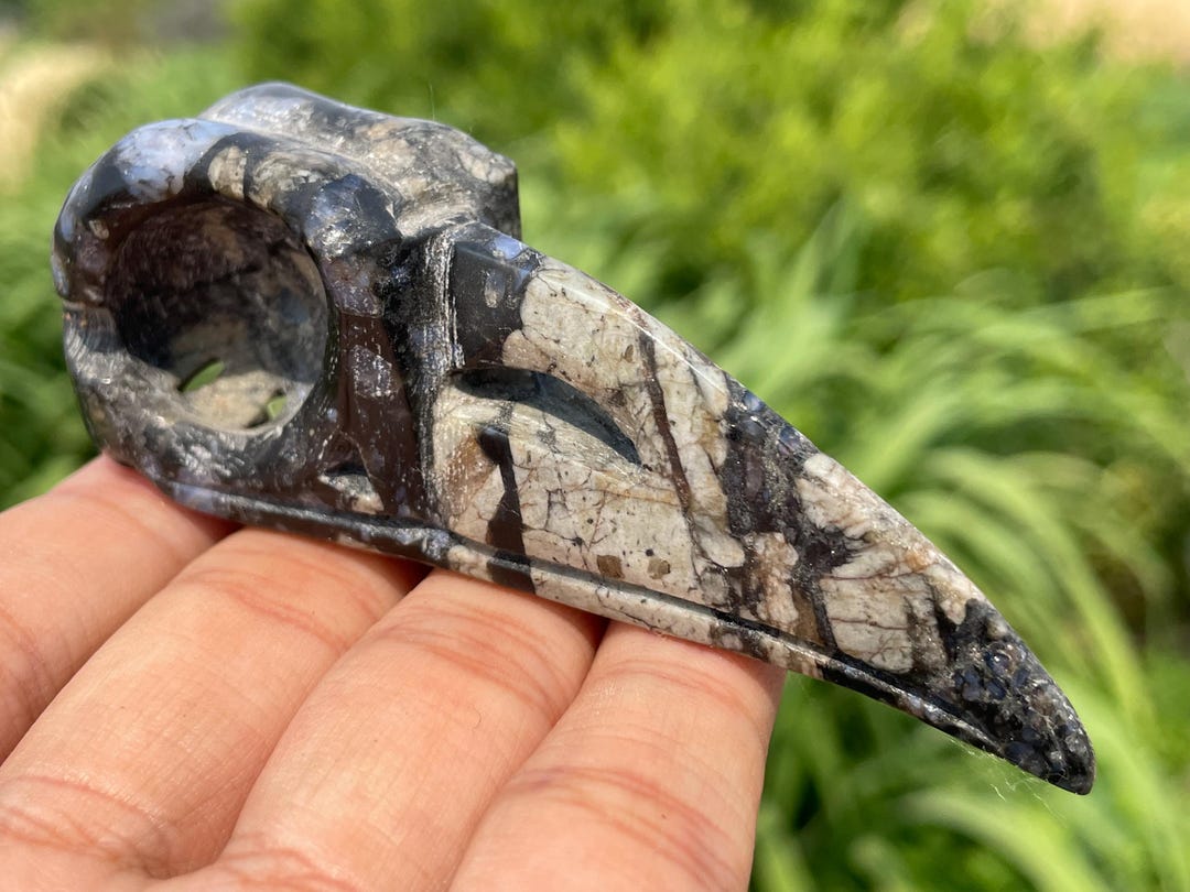 Blue Point Stone Crow Skull: Quartz Crystal Bird Beak, Healing Energy ...