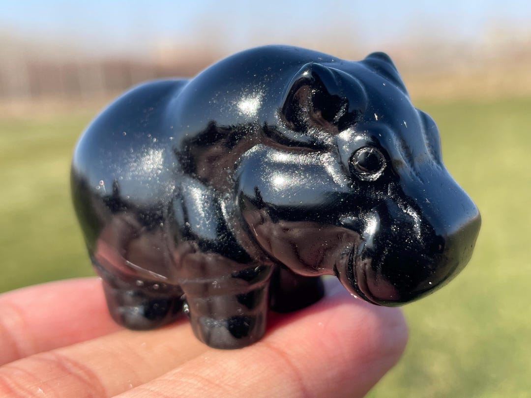 Obsidian Hippo Skull: Crystal Carving, Home Decor, Healing Stone - Etsy