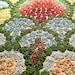 Vintage Handmade Yoyo Bedspread – Double or Queen Size With Skirt ...