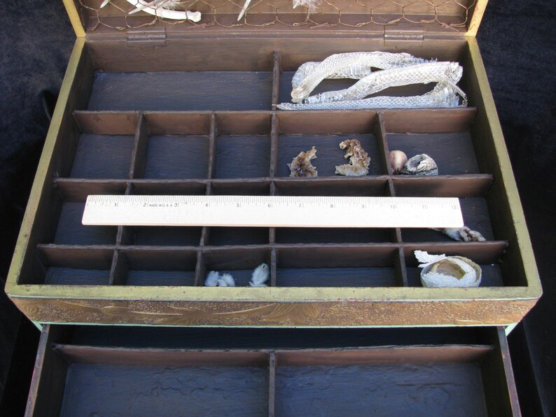 Cabinet of Curiosities Explorers Chest Collection Box | Etsy