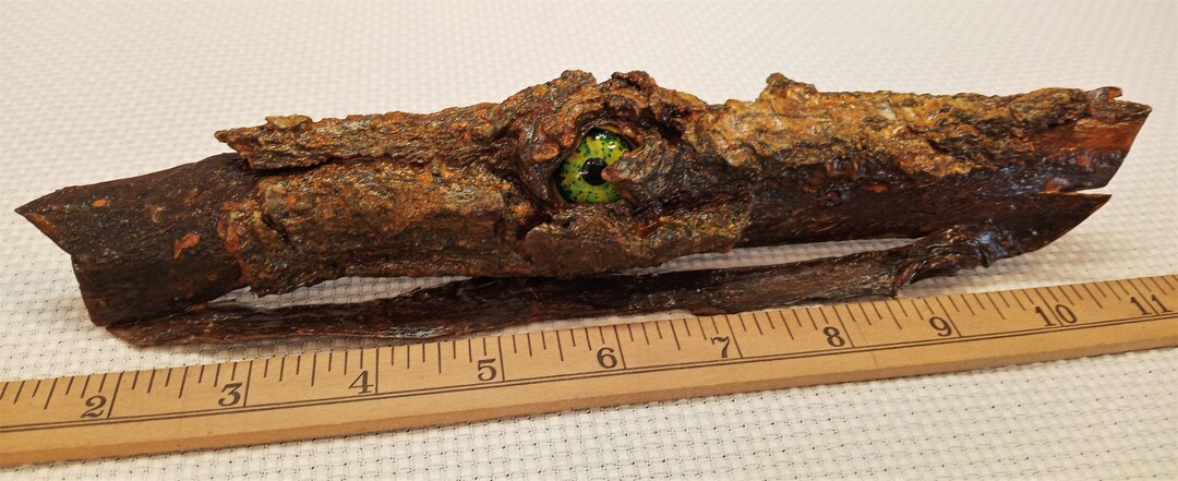 Tree Spirit, the Eye of the Cottonwood, Altered Natural Bark Shedding ...