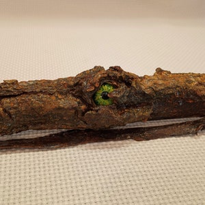 Tree Spirit, the Eye of the Cottonwood, Altered Natural Bark Shedding ...