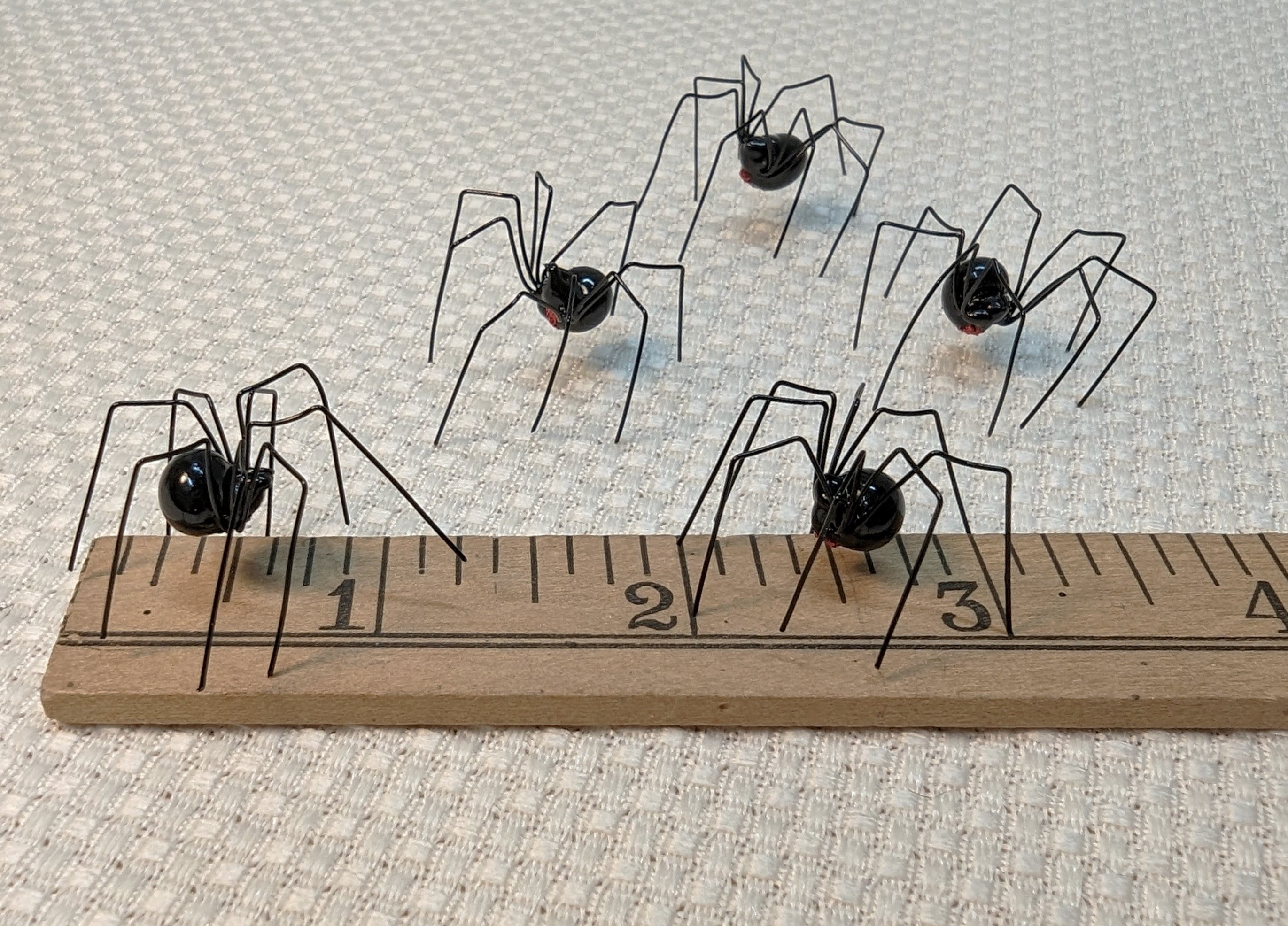 Black Widow Spider Size Chart