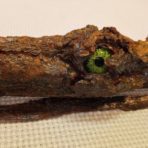 Tree Spirit, the Eye of the Cottonwood, Altered Natural Bark Shedding ...