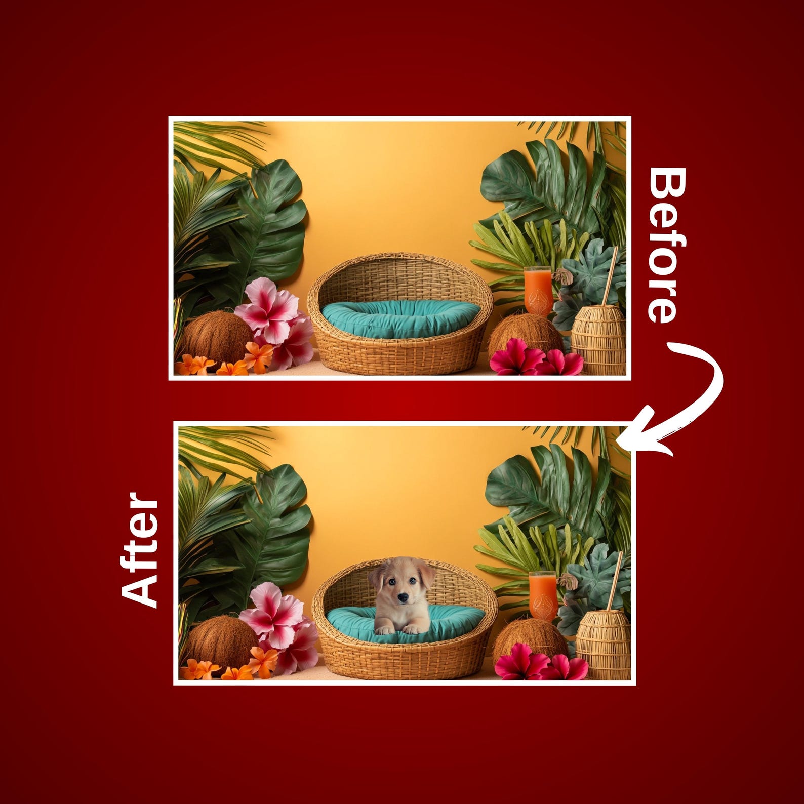 50 Cozy Pet Digital Backdrop: Fun Festive Decor – Dog & Cat Portrait ...