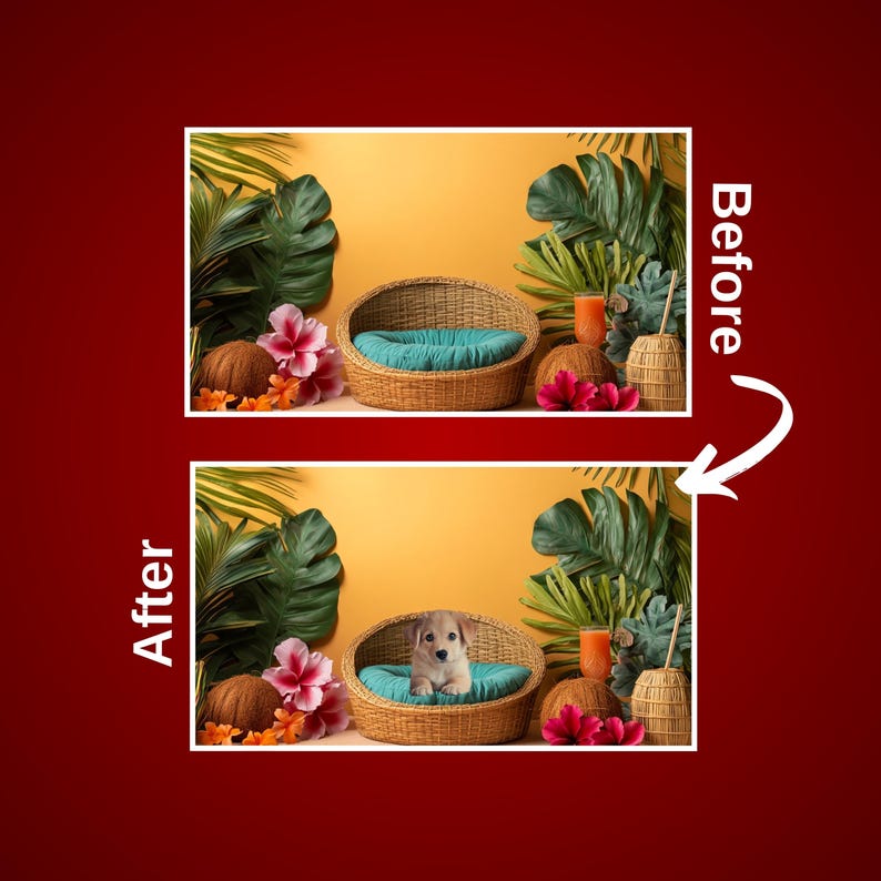 50 Cozy Pet Digital Backdrop: Fun Festive Decor – Dog & Cat Portrait ...