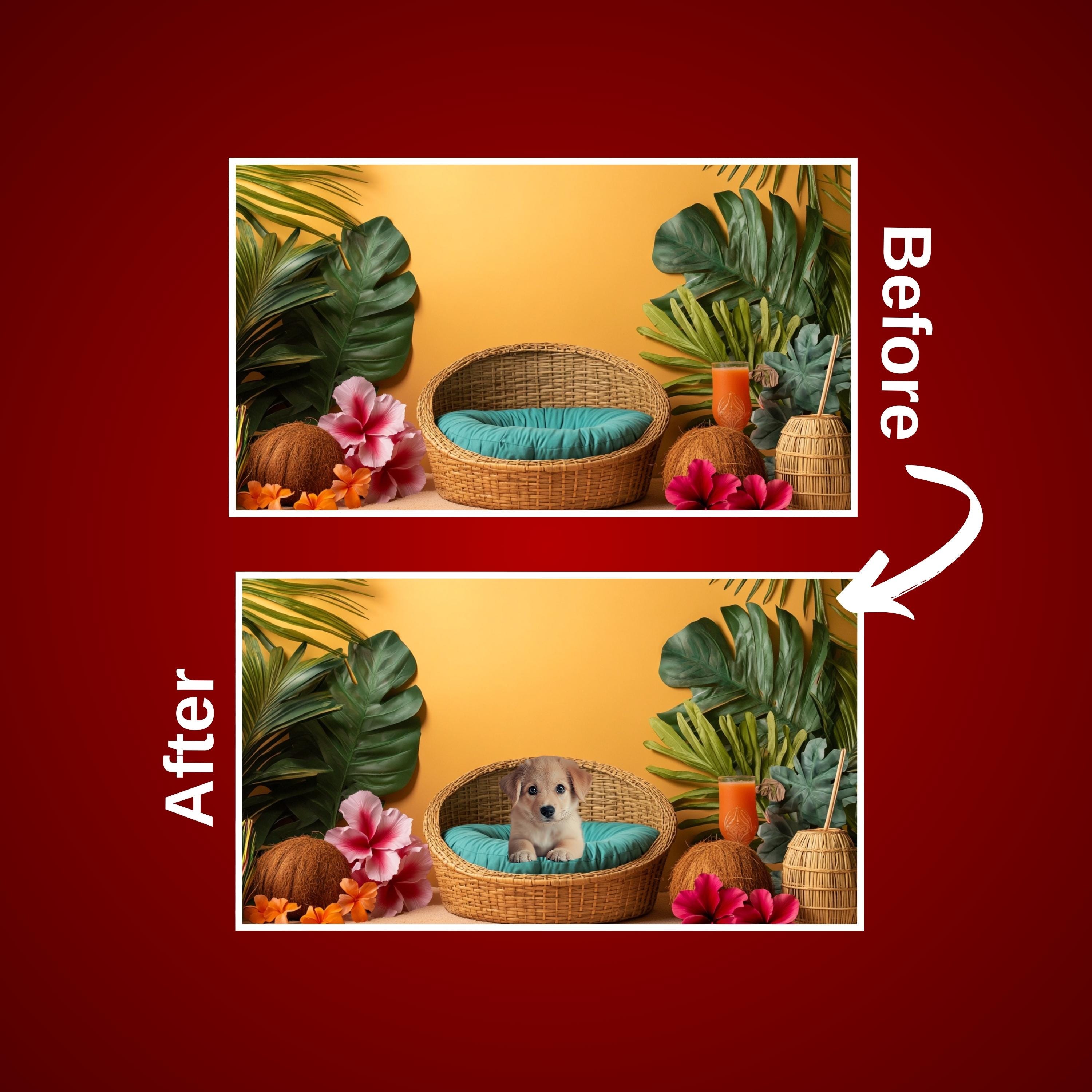 50 Pet Digital Backdrops for Pet Photography - Fun Editable Backgrounds ...