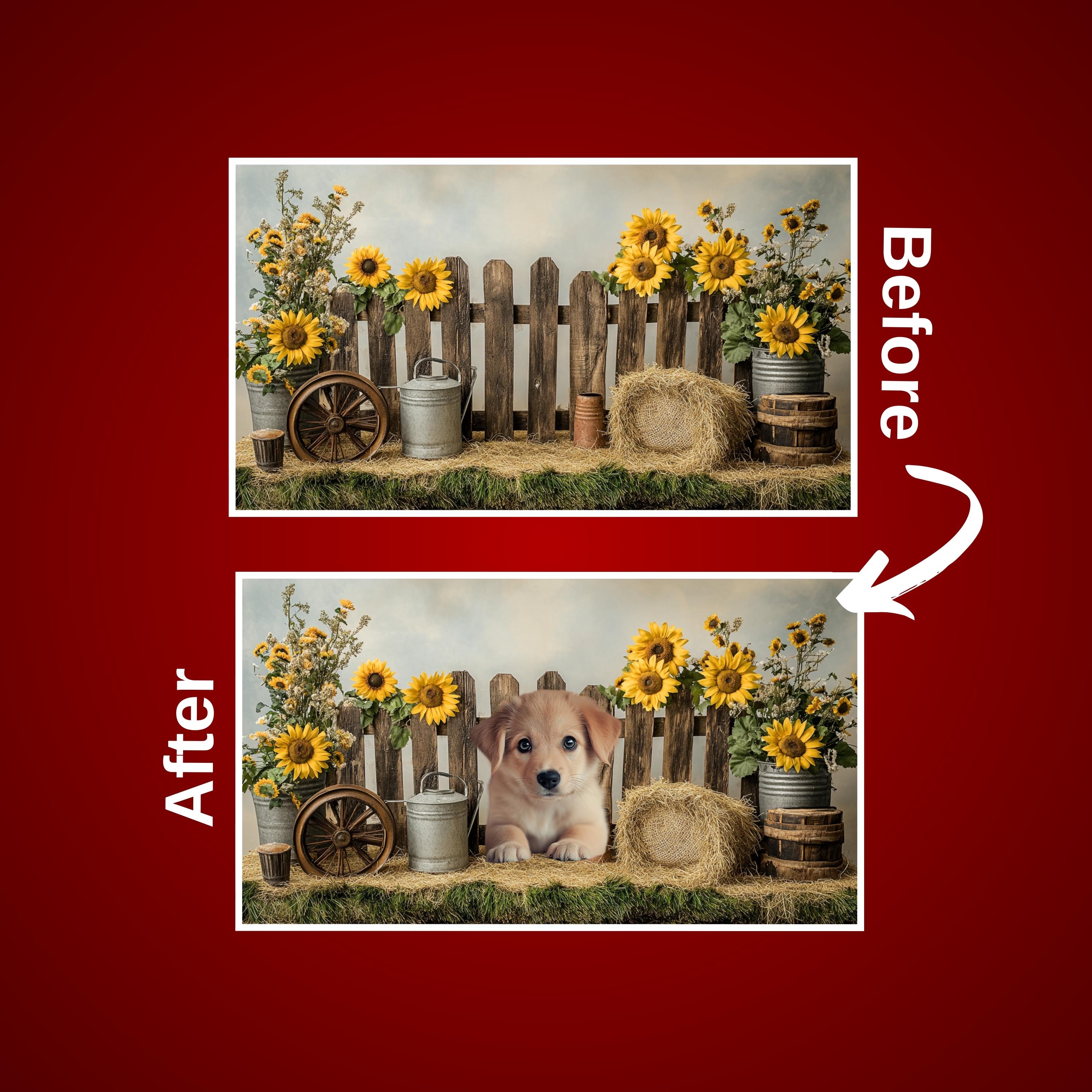 50 Pet Digital Backdrops for Pet Photography Fun Backgrounds Festive ...